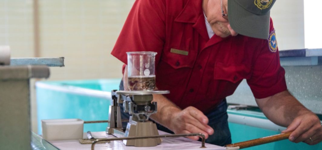 Clark's Fork Fish Hatchery | Wyoming Game & Fish Department